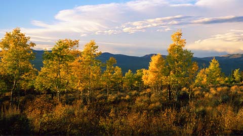 Our Colorado Ski Vacation Offers | The Hythe Vail